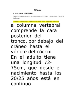 GUIA TEMA 6 - Morfo 2 - Victoria Sanchez - TEMA 6 MUSCULATURA DEL ...