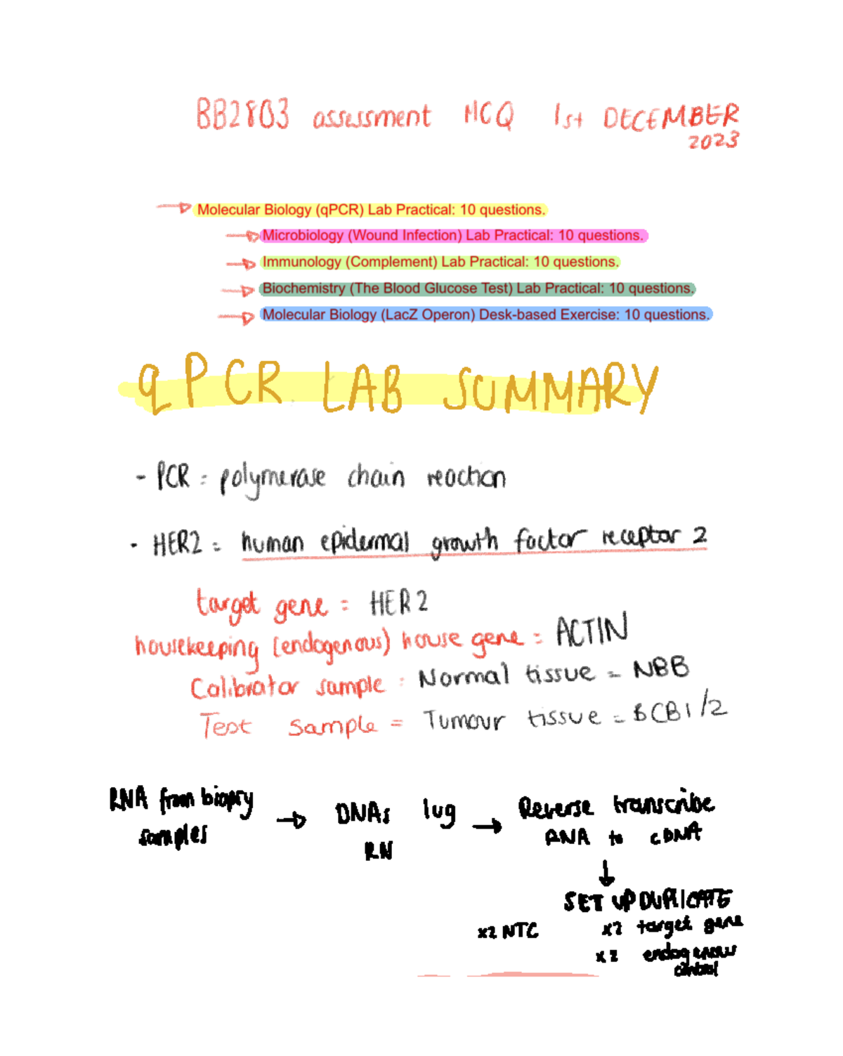 MCQ Prep BB2803 - B 132803 assessment MCQ 1st DECEMBER 2023 qP CR LAB SUMMARY PCR polymerase ...