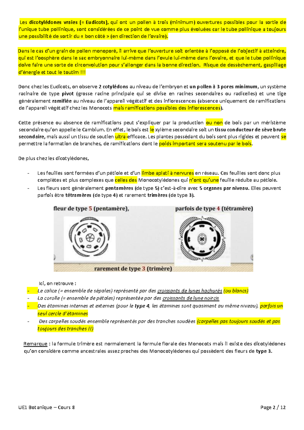 Ue1 B Cours 7 Warning Tt Undefined Function 32 Warning Tt Undefined Function 32 Les