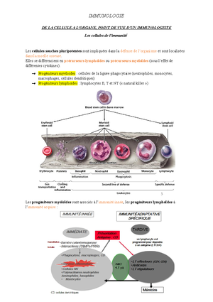 Compte Rendu TP Immunologie - Warning: TT: undefined function: 32 Warning: TT: undefined ...