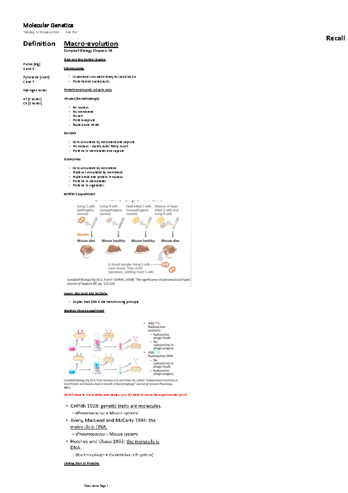 Molecular Genetics - Macro-evolution Campbell Biology Chapters 16 DNA ...