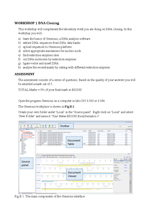 Bioinformatics 3 2023 - Bioinformatic worksheet, for tutorial 3 ...