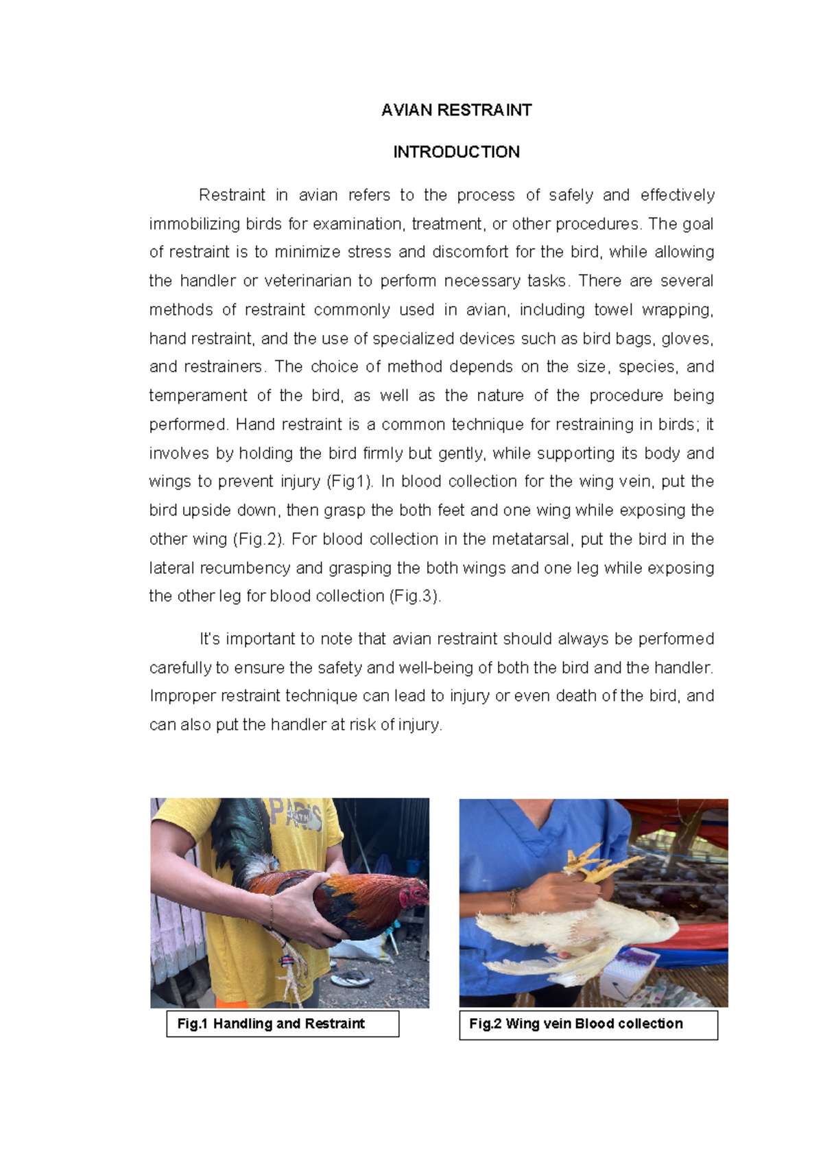 PDF document - Better analysis - AVIAN RESTRAINT INTRODUCTION Restraint ...