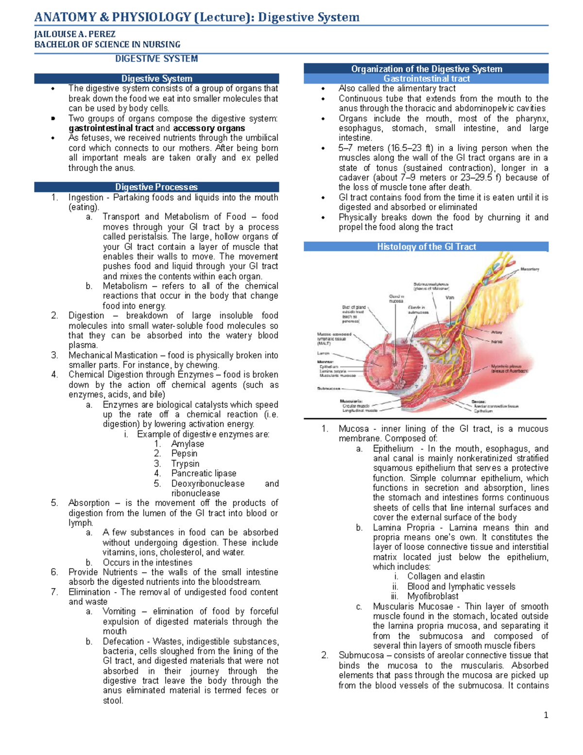 [ Anaphy LEC] Perez 15 Digestive System - JAILOUISE A. PEREZ BACHELOR OF SCIENCE IN NURSING ...
