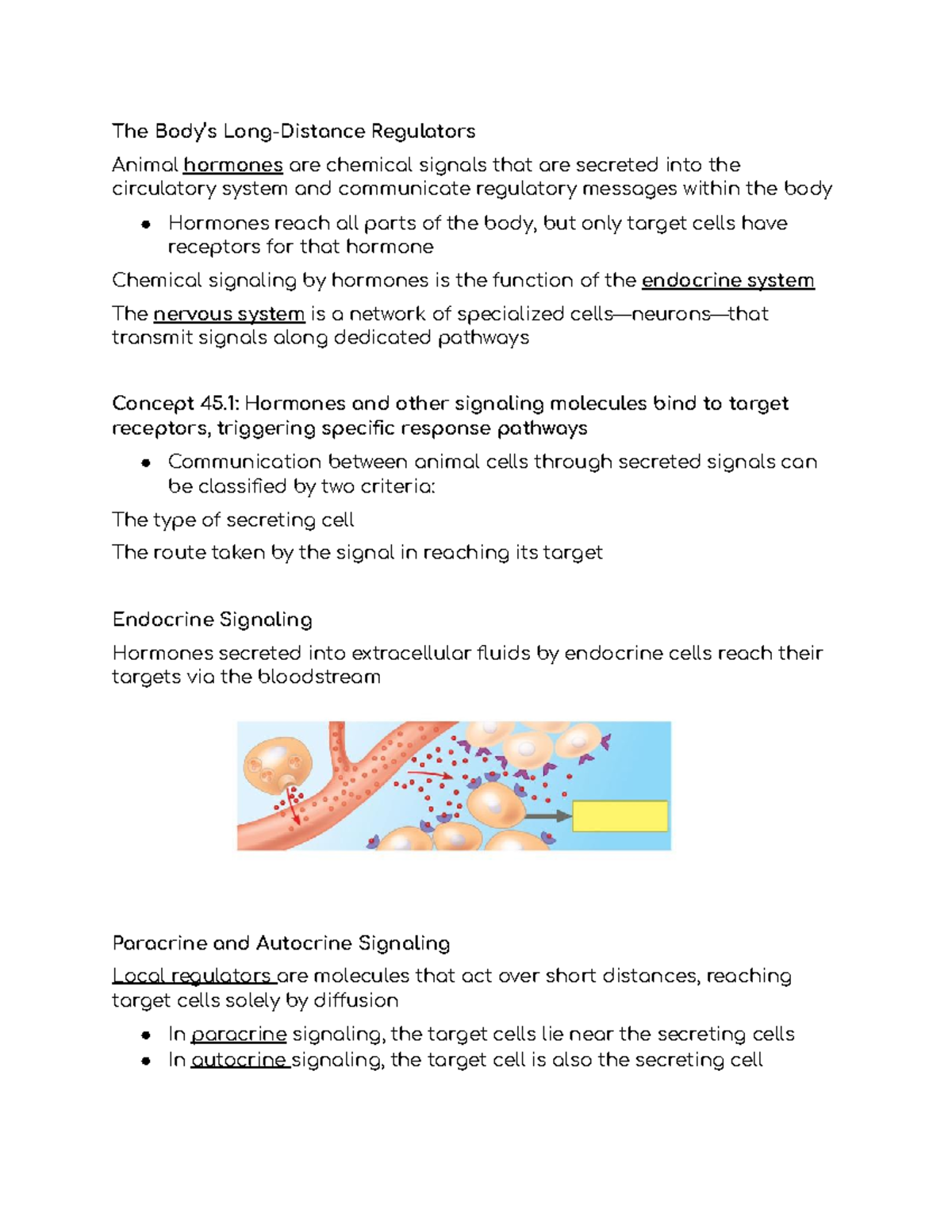 Chapter 45 bio - Notes - The Body’s Long-Distance Regulators Animal ...
