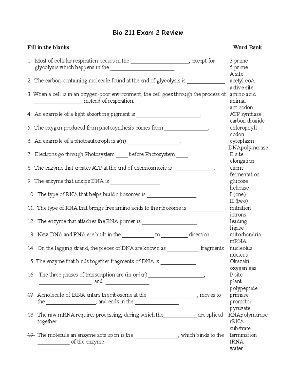 SI wksht bio exam 2 review w19 - Bio 211 Exam 2 Review Fill in the ...