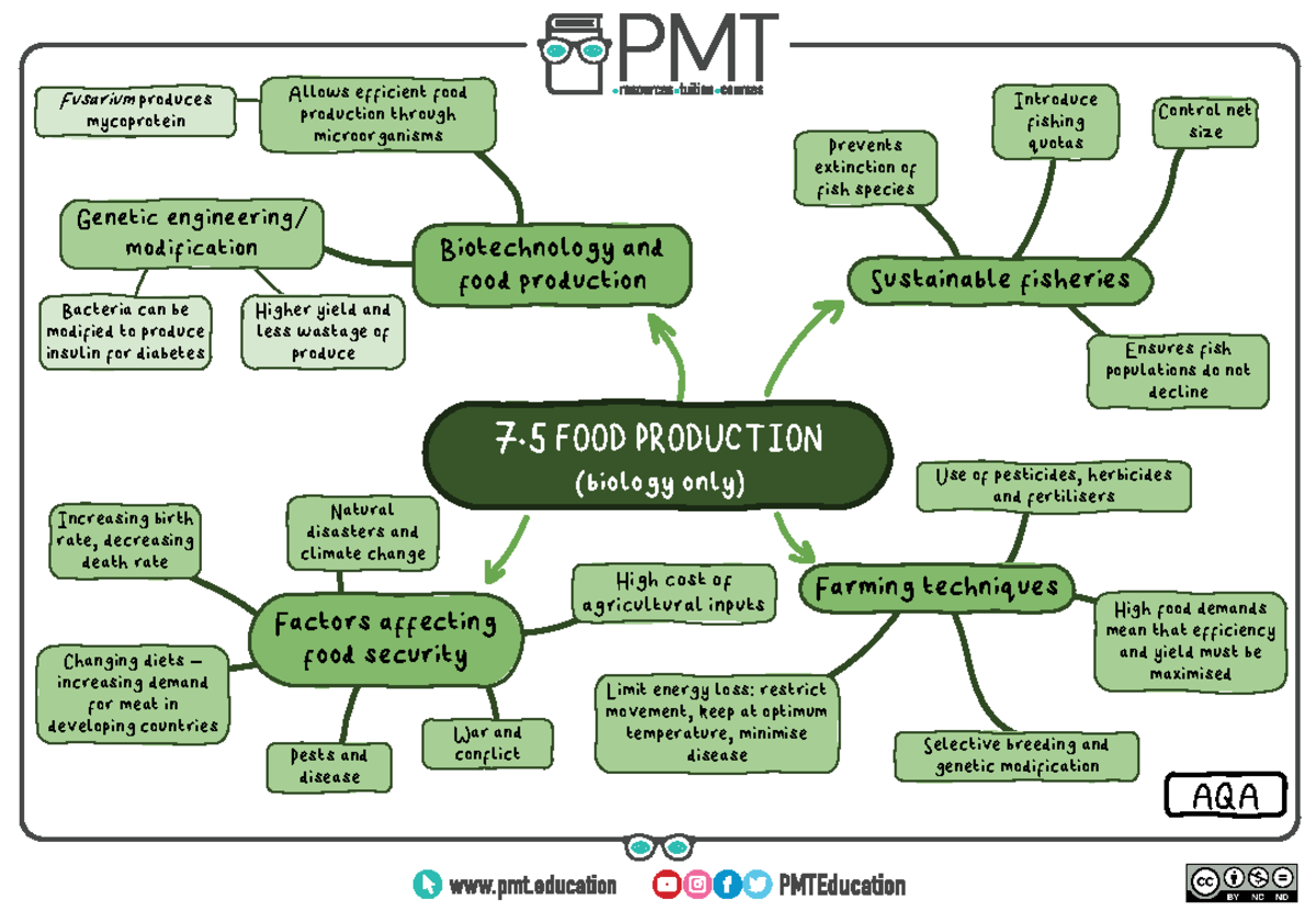 Mind Map 7 - mind map - 7 FOOD PRODUCTION Genetic engineering ...