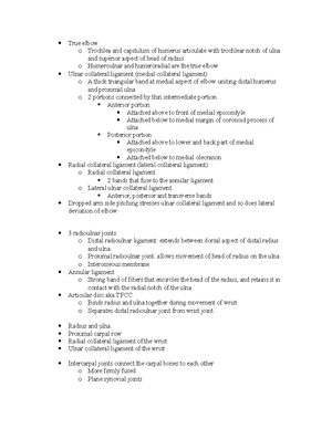 Axilla - objective - Pyramidal space inferior to the glenohumeral joint ...