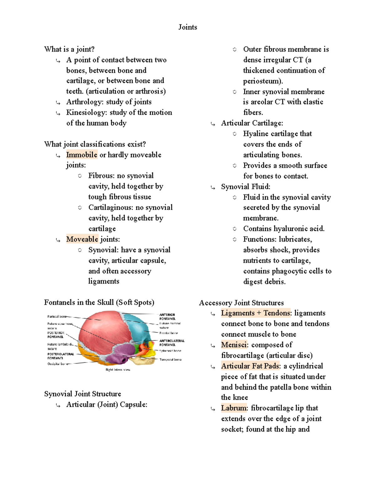 Joints (Anatomy) - What is a joint? ⤷ A point of contact between two ...