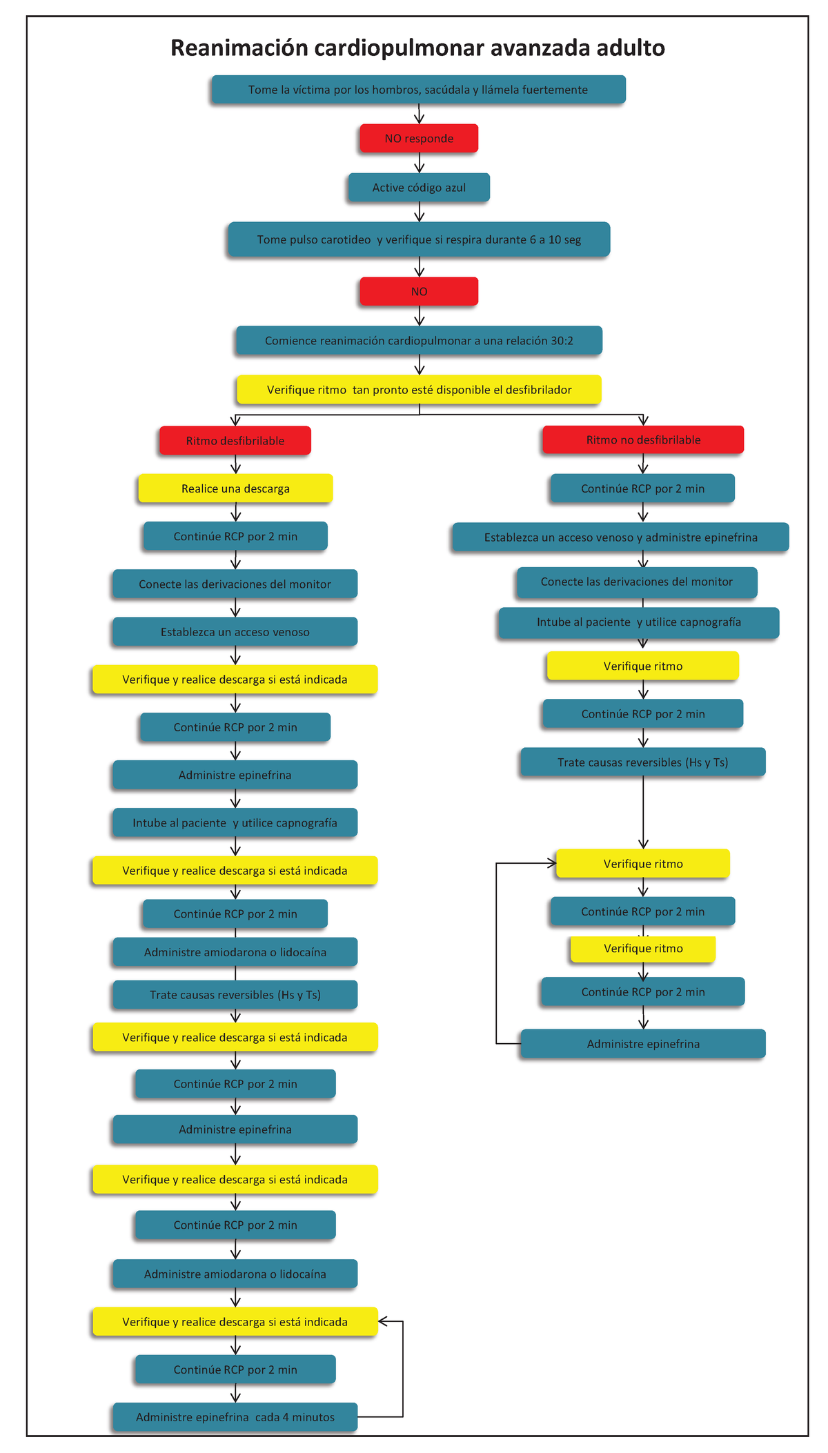 Algoritmo reanimacion avanzada adulto - Reanimación cardiopulmonar avanzada adulto Tome pulso ...