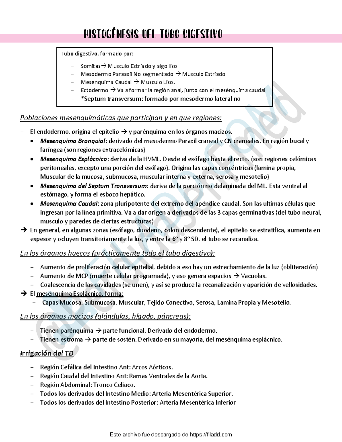 8 Tubo digestivo Histog - Tubo digestivo, formado por: - Somitas→ ...