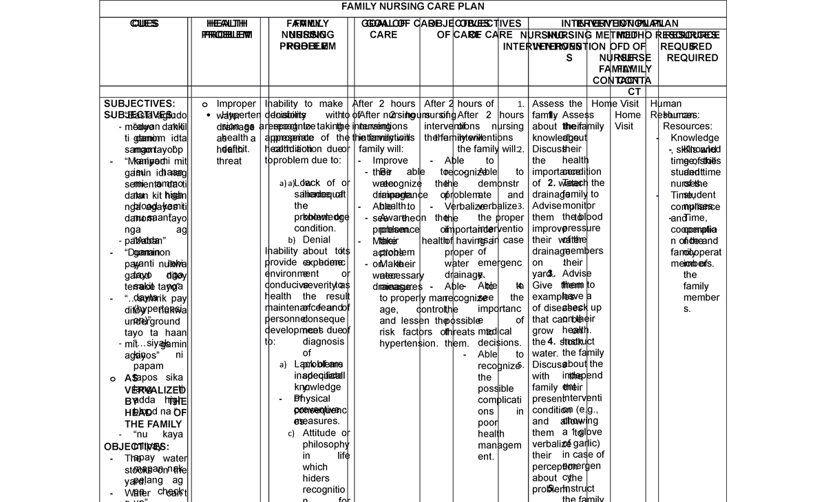 FNCP - hbhibuuni - FAMILY NURSING CARE PLAN CUES HEALTH PROBLEM FAMILY ...