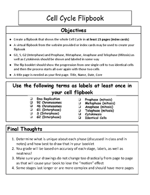 Cell Cycleand Mitosis Puzzlefreebie - ! ! ! ! This four-sided puzzle ...