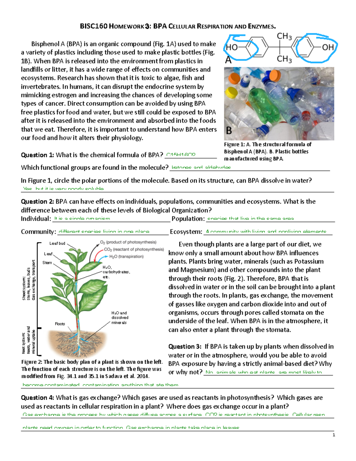 Bio hw 3 - homework for biology - BISC160 HOMEWORK 3 : BPA C ELLULAR R ...
