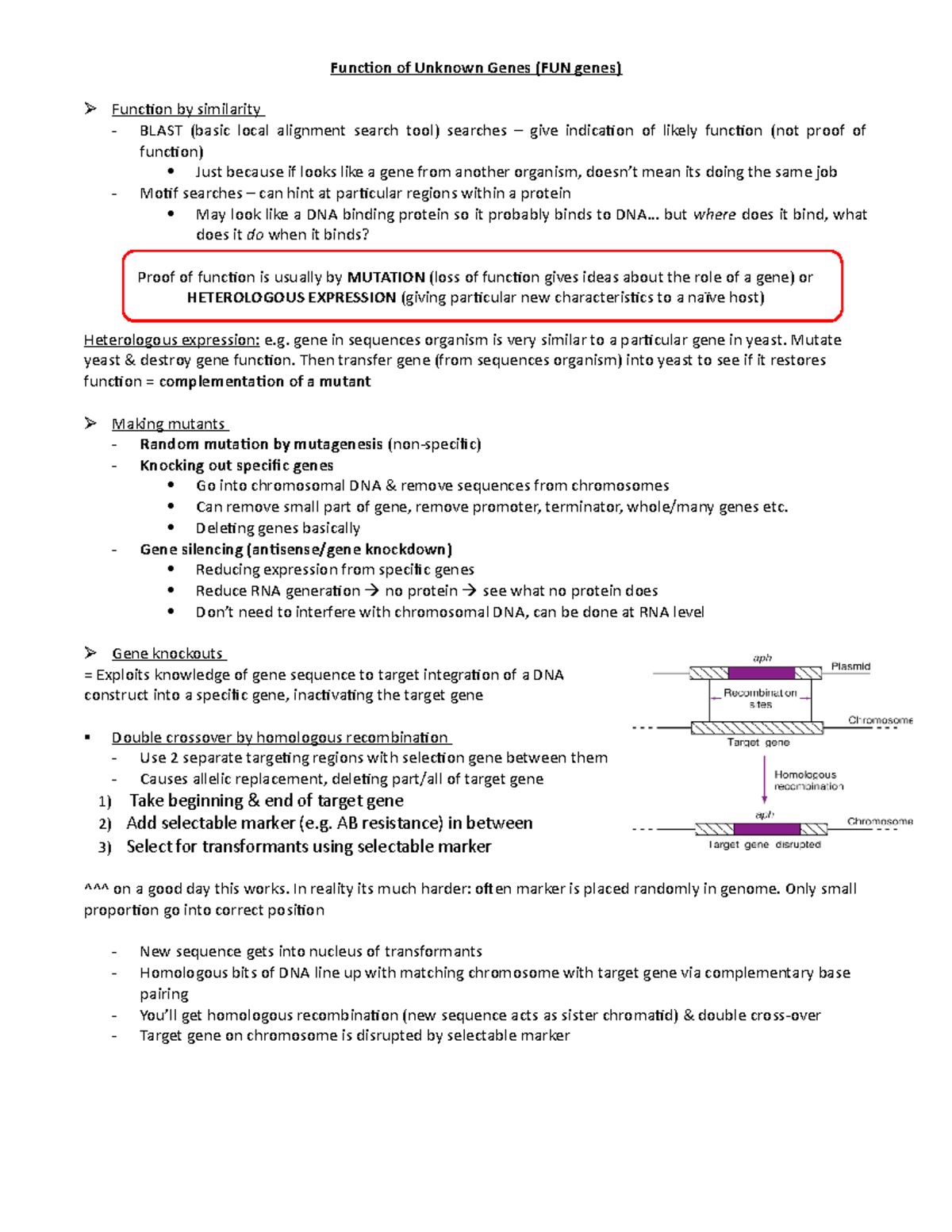 Function of unknown genes - gene in sequences organism is very similar ...