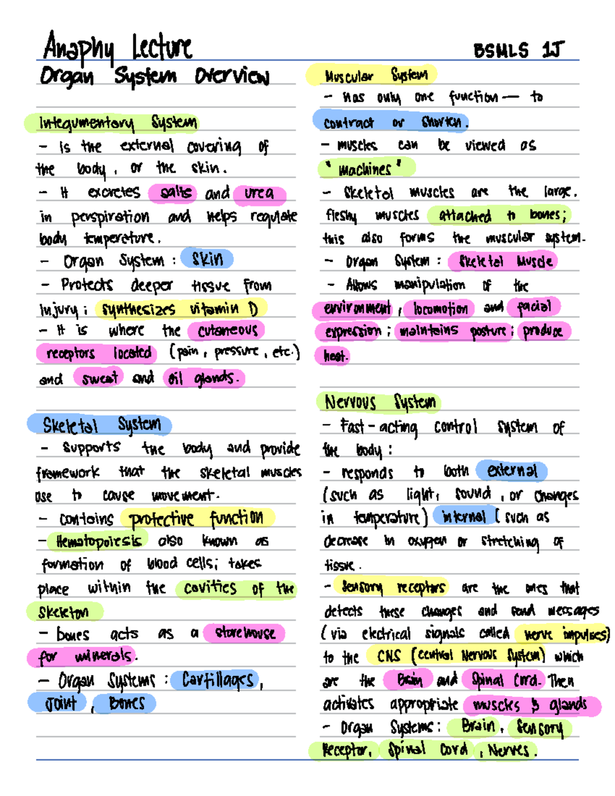 Anaphy notes (organ systems overview) - Anaphy Lecture BSMLS 1J Organ ...