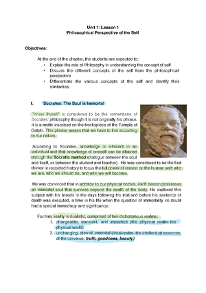 VAW Desk Form 1 - VAWC functionality Assessment Form 1 - DILG-NBOO VAW ...