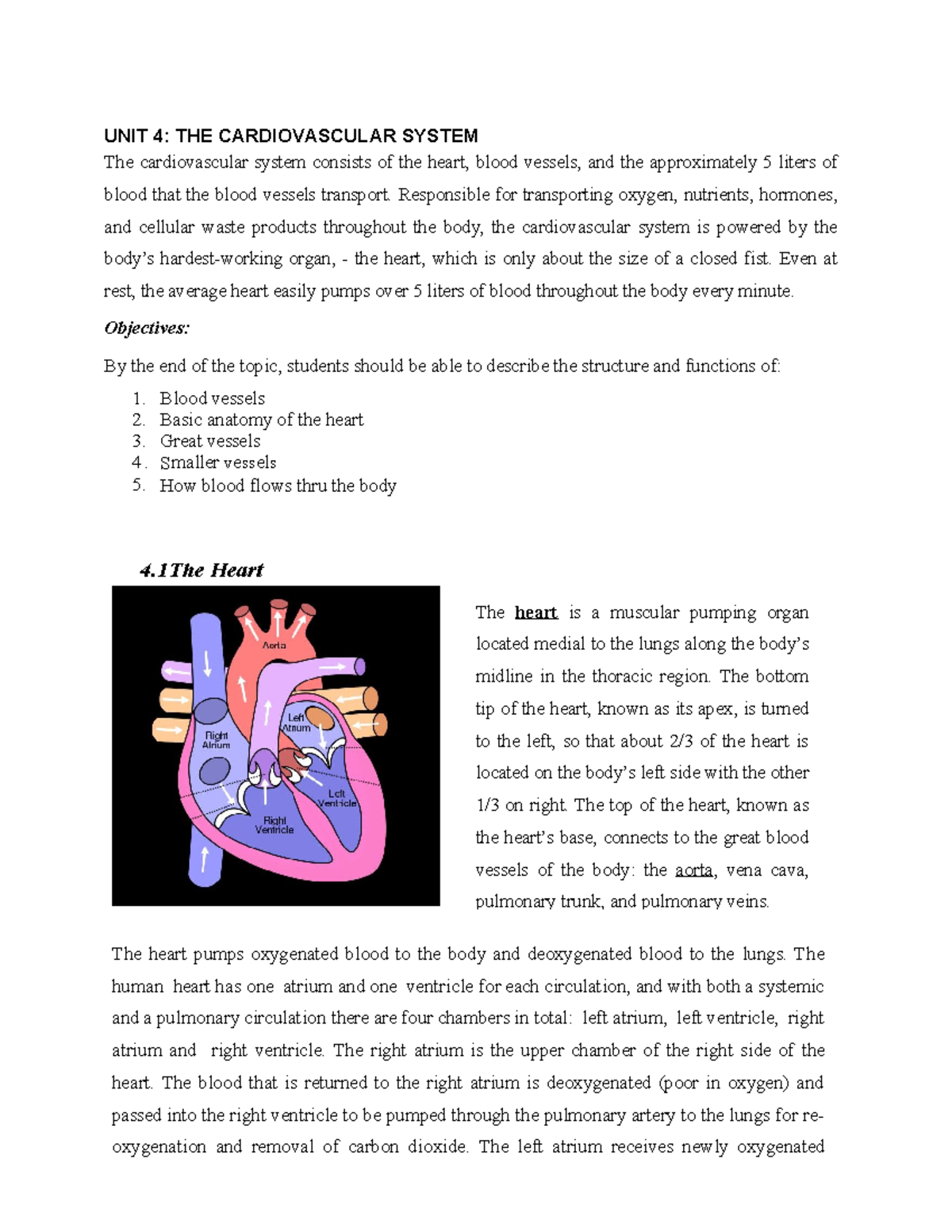 Anatomy AND Physiology UNIT FOUR - UNIT 4 : THE CARDIOVASCULAR SYSTEM ...