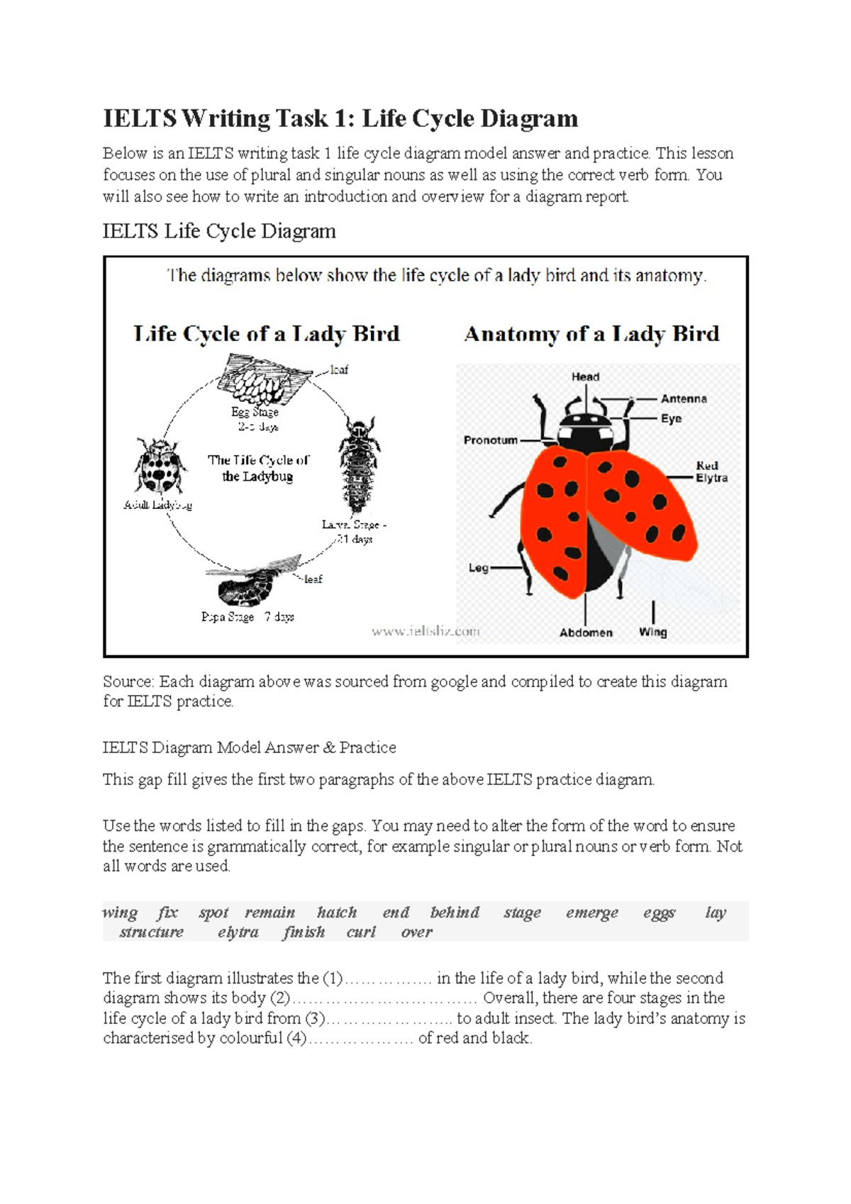 Diagram gap fill 1 - IELTS Writing Task 1: Life Cycle Diagram Below is an IELTS writing task 1 ...