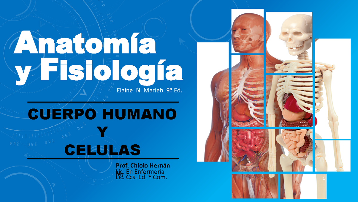 2- El Cuerpo Humano y Celula prof chiolo - Anatomía CUERPO HUMANO Y ...
