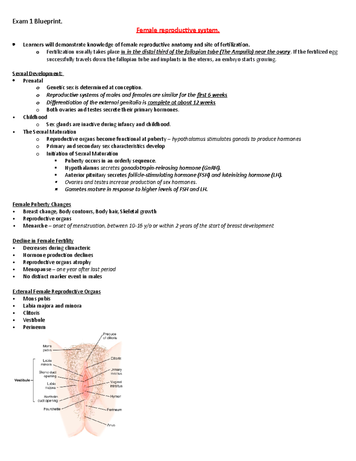 Exam 1 Blueprint - Prof. Matson BMCC - Exam 1 Blueprint. Female ...