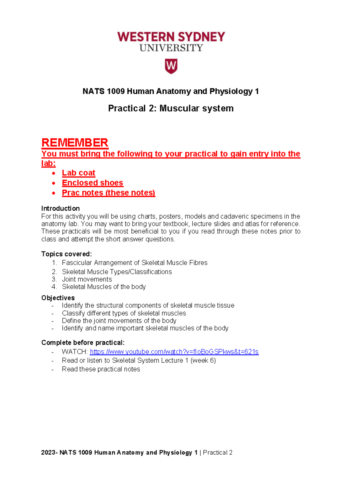 Muscular System Summary for Lab - NATS 1009 Human Anatomy and ...