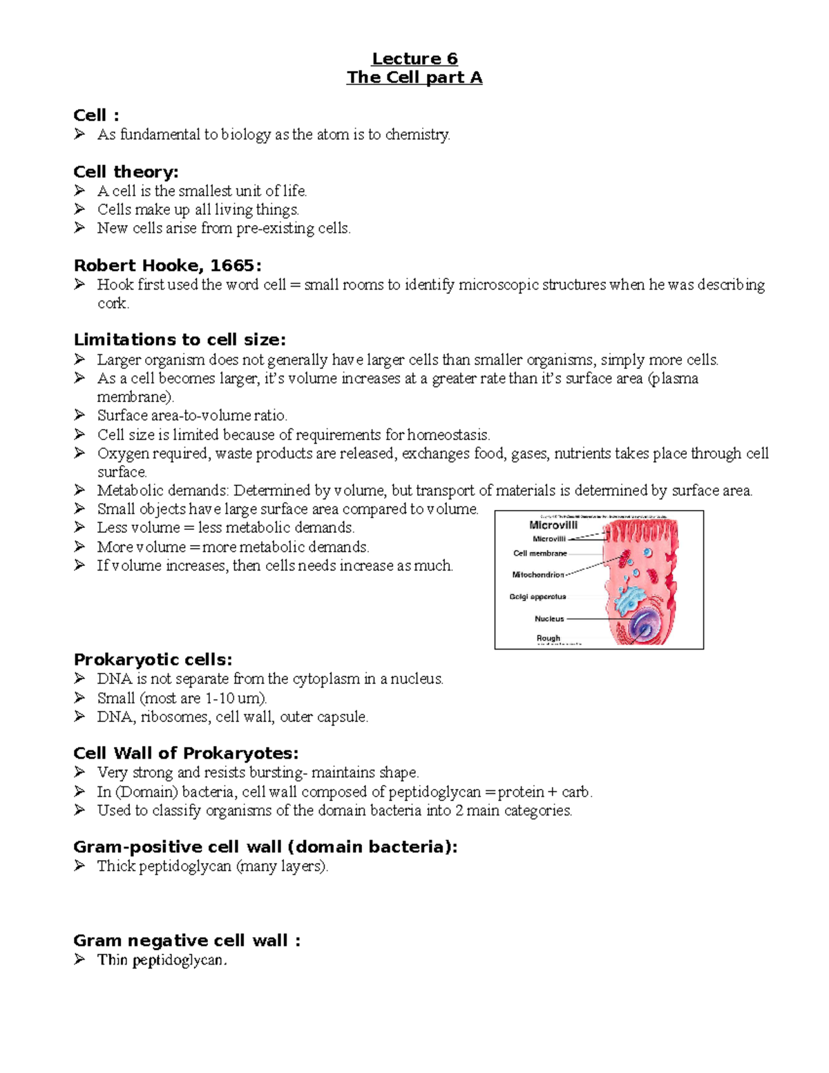 Lecture 6 Review PACK - Lecture 6 The Cell part A Cell : As fundamental ...