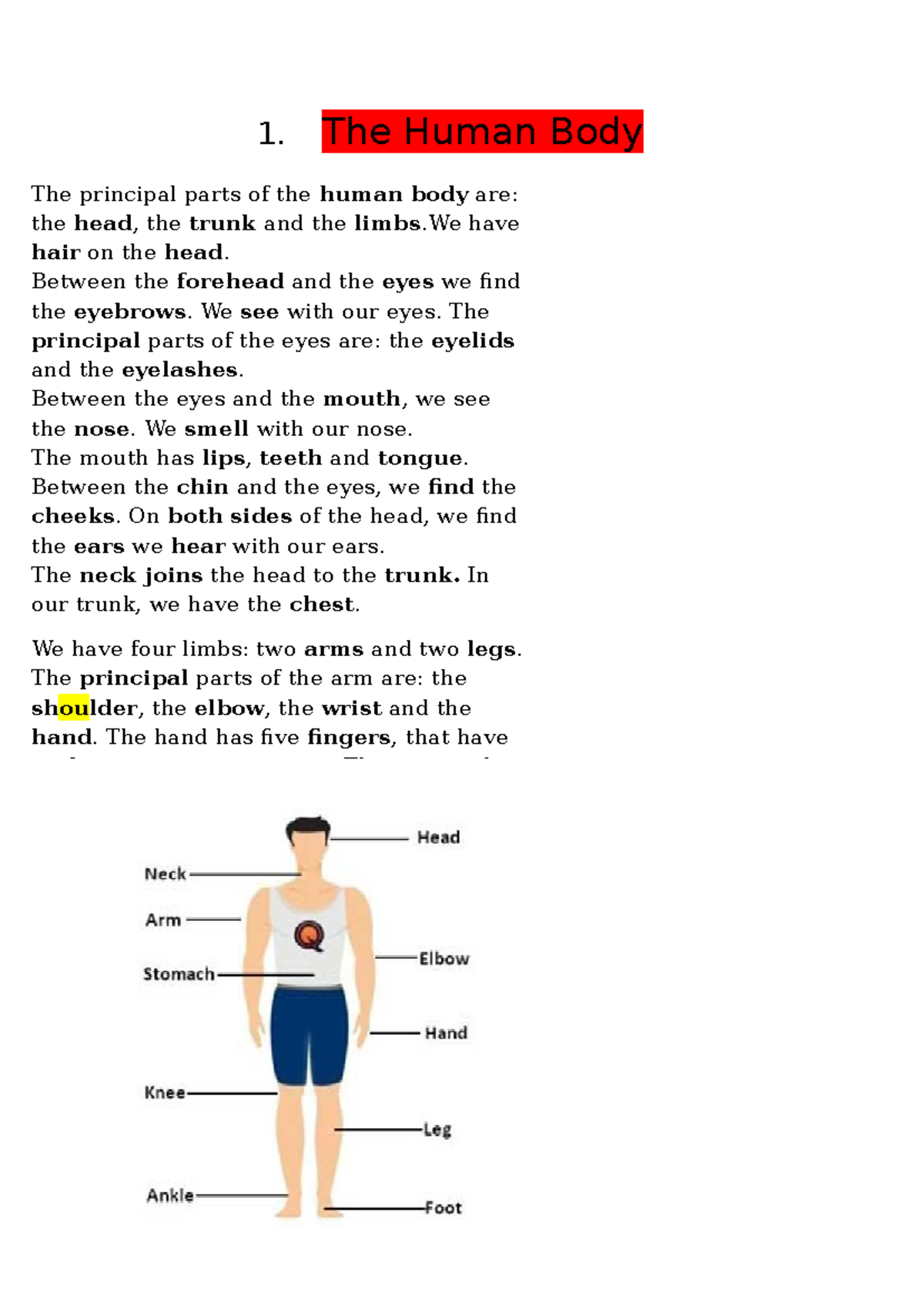 Body vocab activities - learning parts of the body with a practical ...