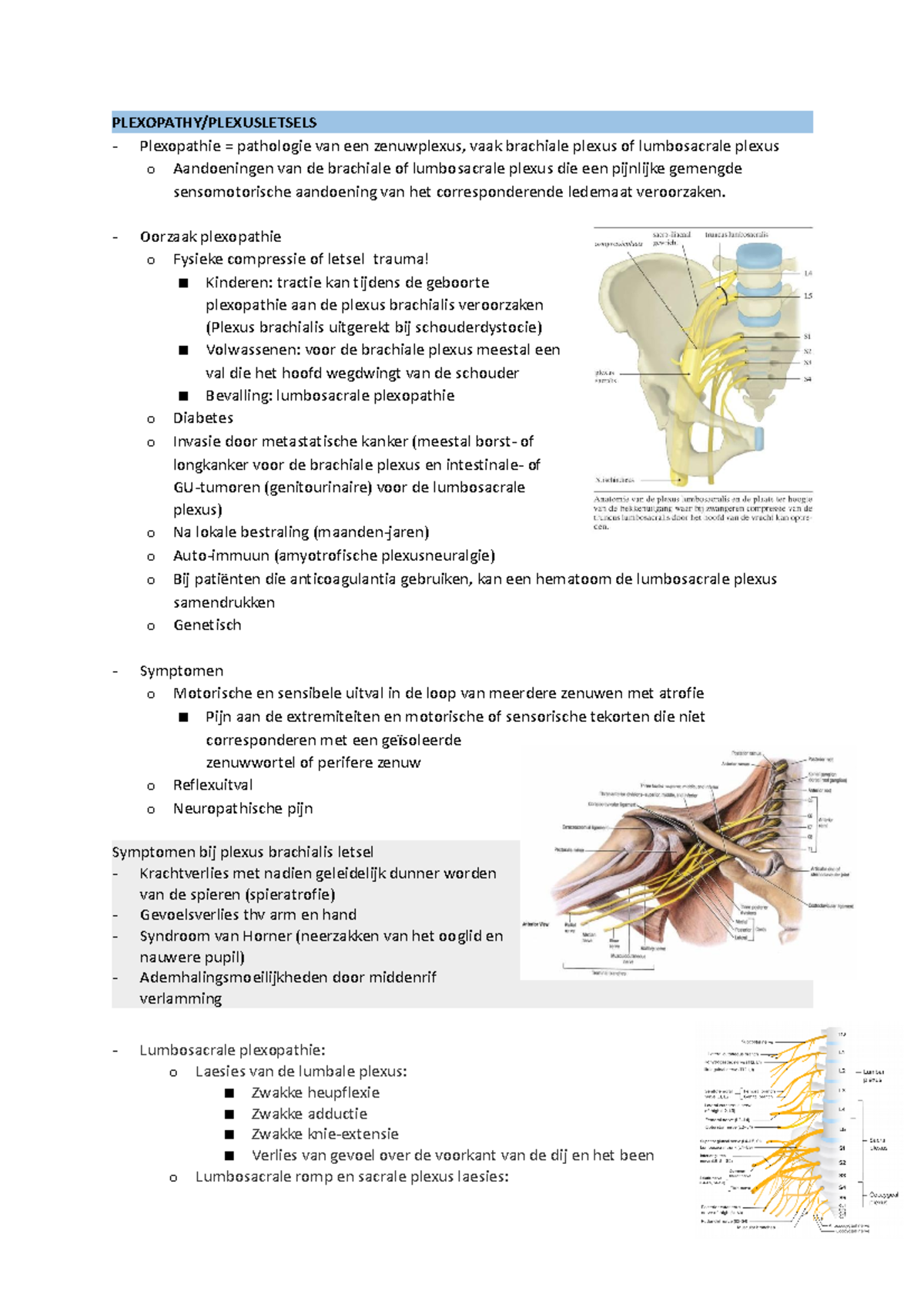 Plexopathy + leerdoel bot genezing - PLEXOPATHY/PLEXUSLETSELS ...