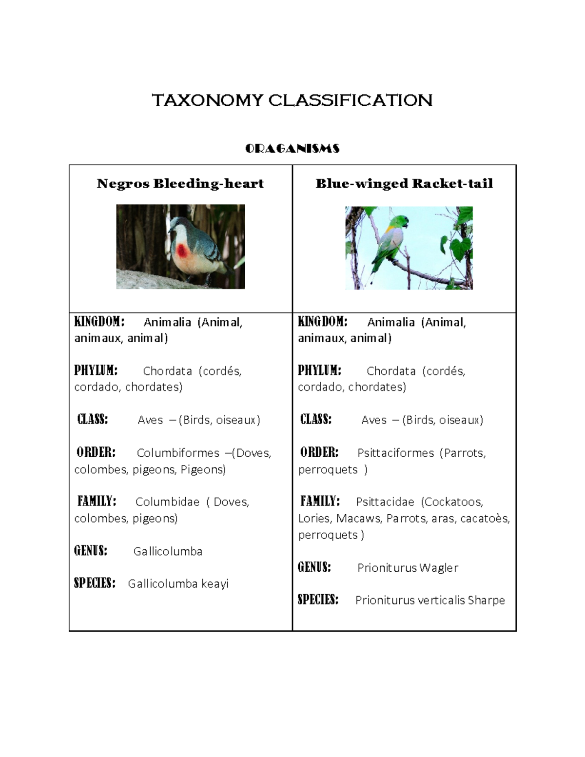 Taxonomy Classification of endemic species in the philippines ...
