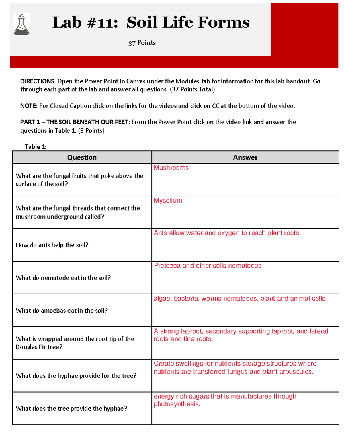 Lab 11 Soil Life Forms-2 - Lab # 11 : Soil Life Forms 37 Points ...