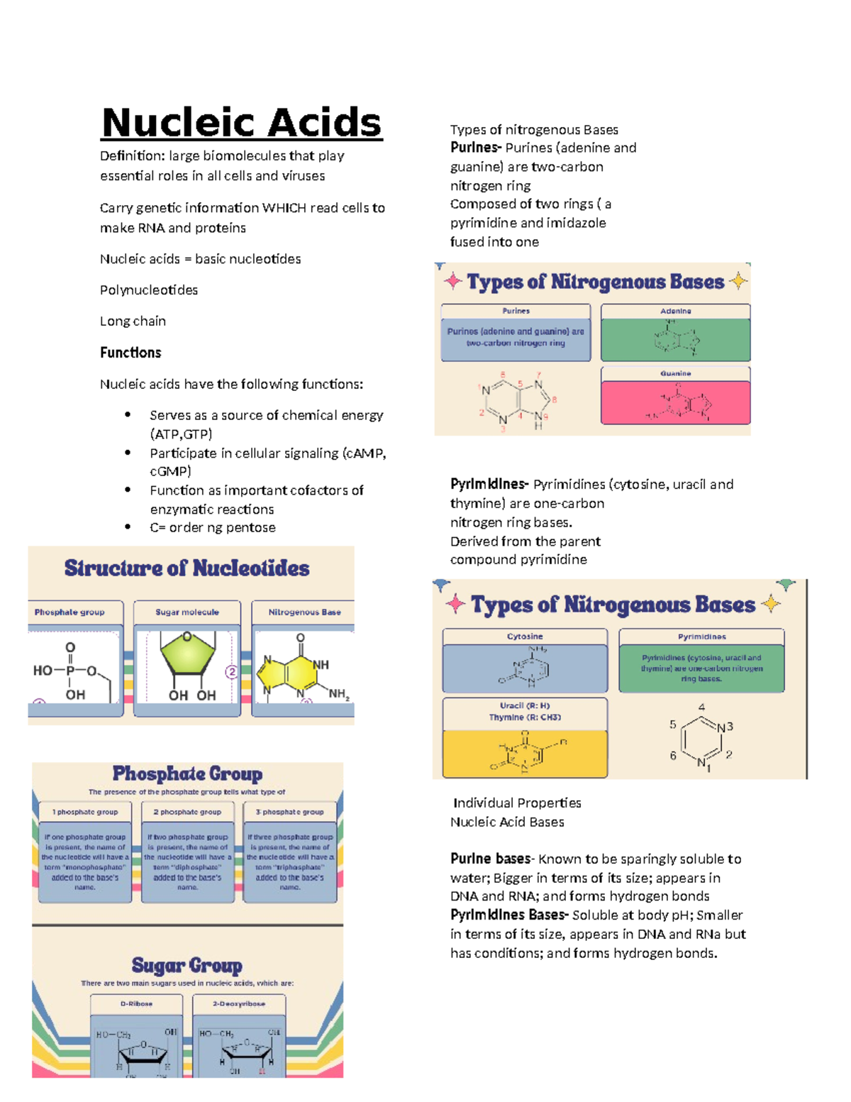 Nucleic Acids - ddddd - Nucleic Acids Definition: large biomolecules ...