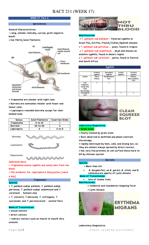 BACT LAB - Transes - LAB PART 1: ANTIMICROBIAL SUSCEPTIBILITY TESTING ...