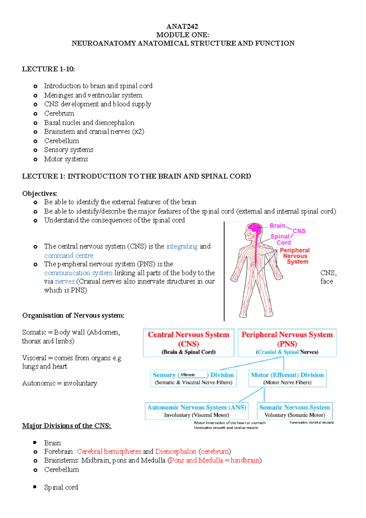 ANAT242 - Lecture notes 1-10 - ANAT MODULE ONE: NEUROANATOMY ANATOMICAL ...