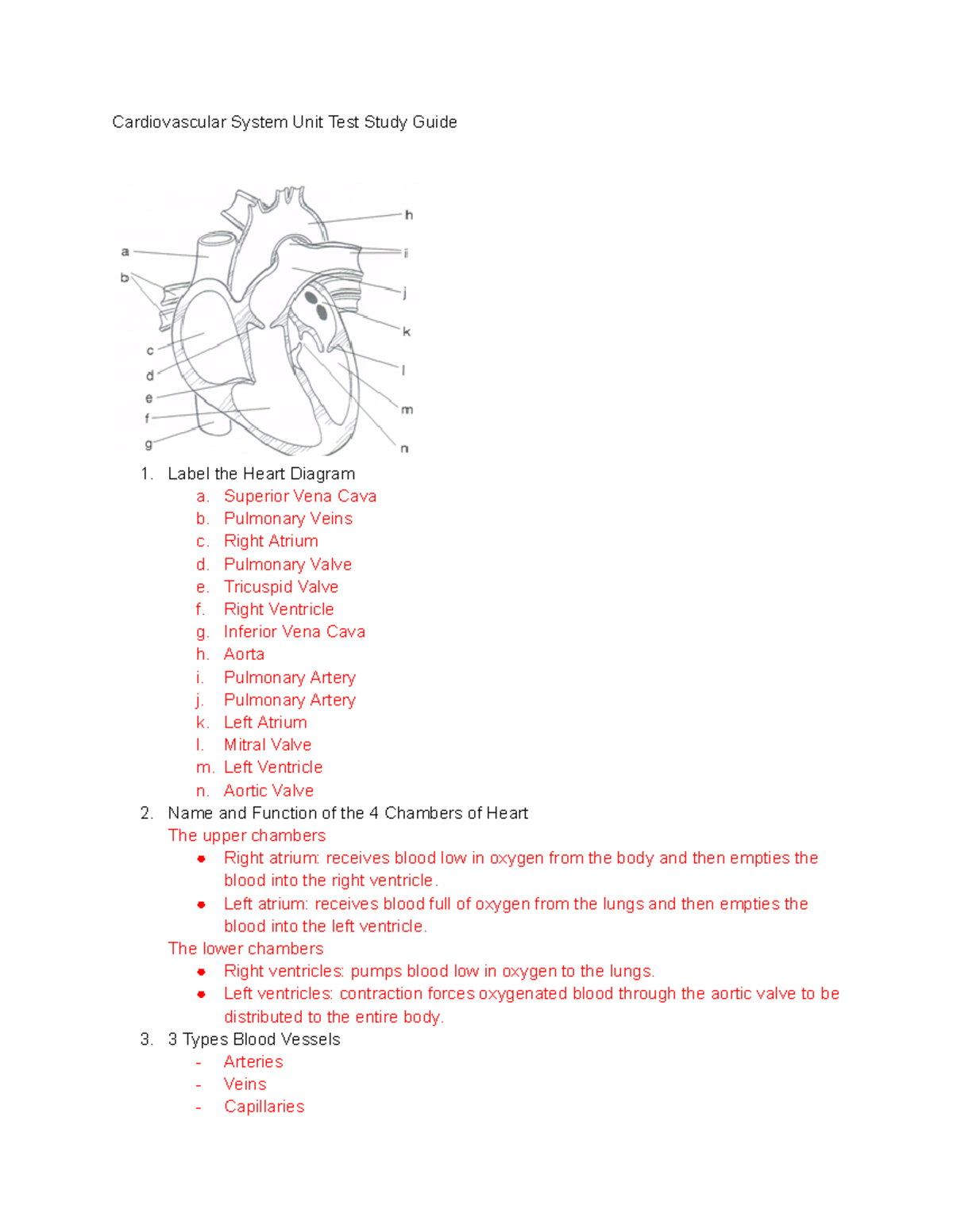 Cardiovascular System Unit Test Study Guide - Studocu