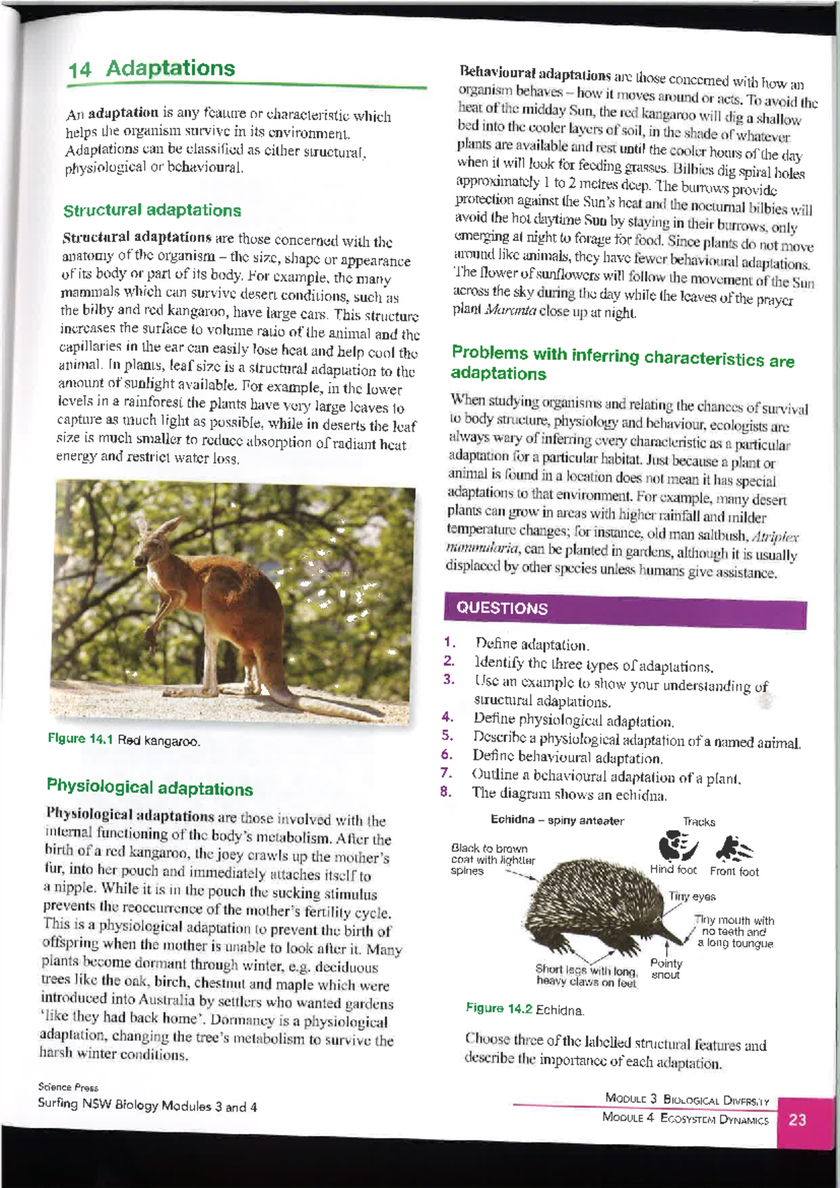 Adaptations - Notes on adaptation - Studocu