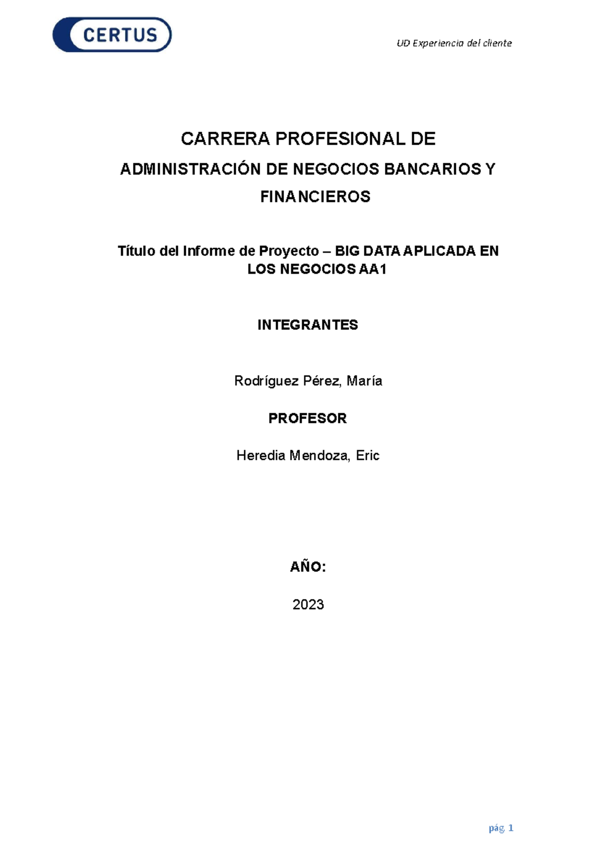 AA1-BIG DATA - cddd - CARRERA PROFESIONAL DE ADMINISTRACIÓN DE NEGOCIOS ...