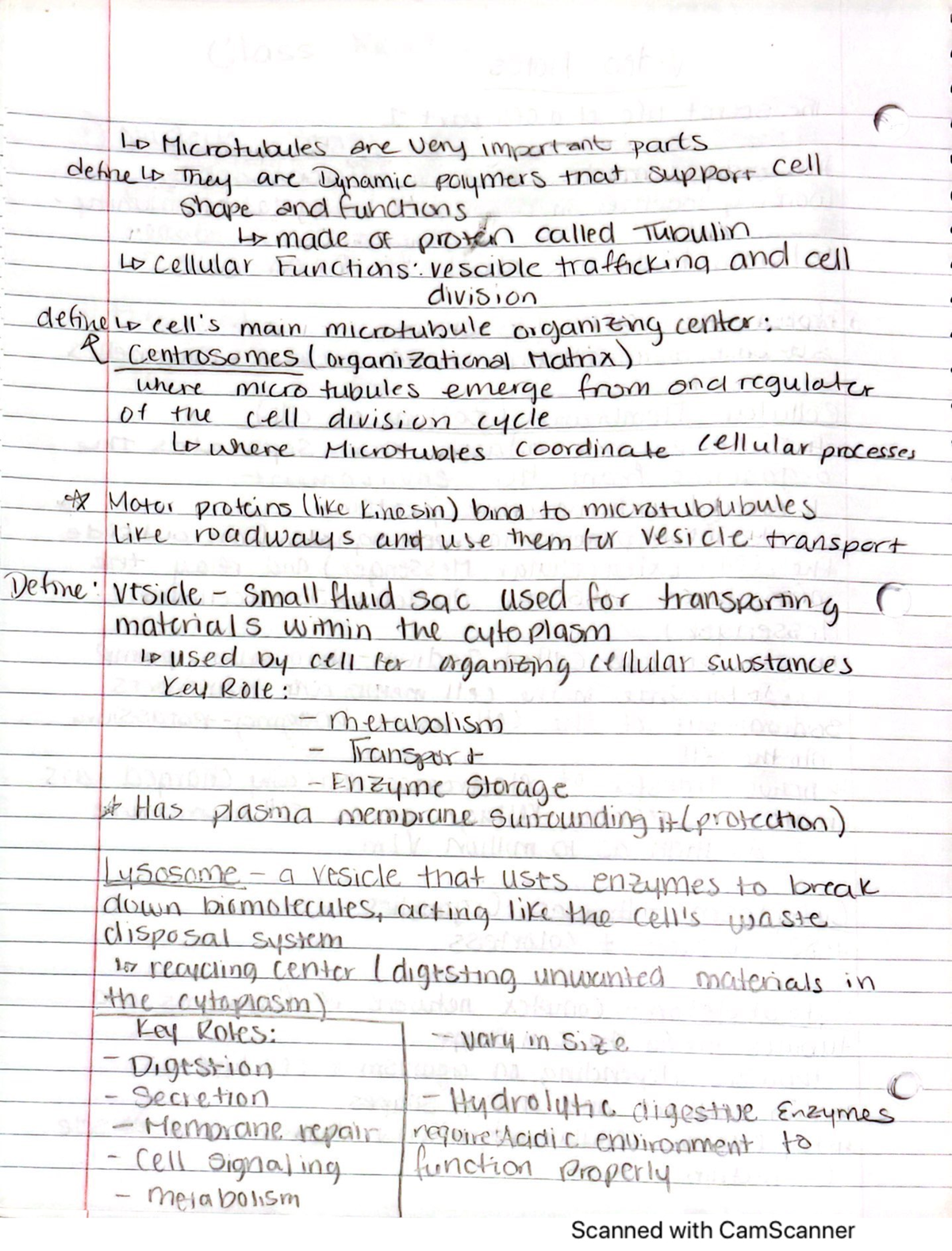 10 - Biology Notes 22 - BIO 101 - Studocu