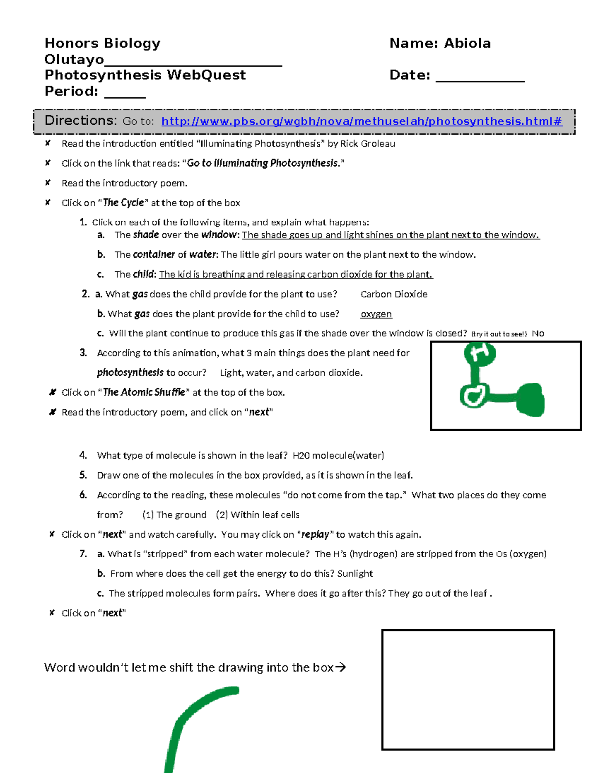 Webquest - photosynthesis - Honors Biology Name: Abiola Olutayo