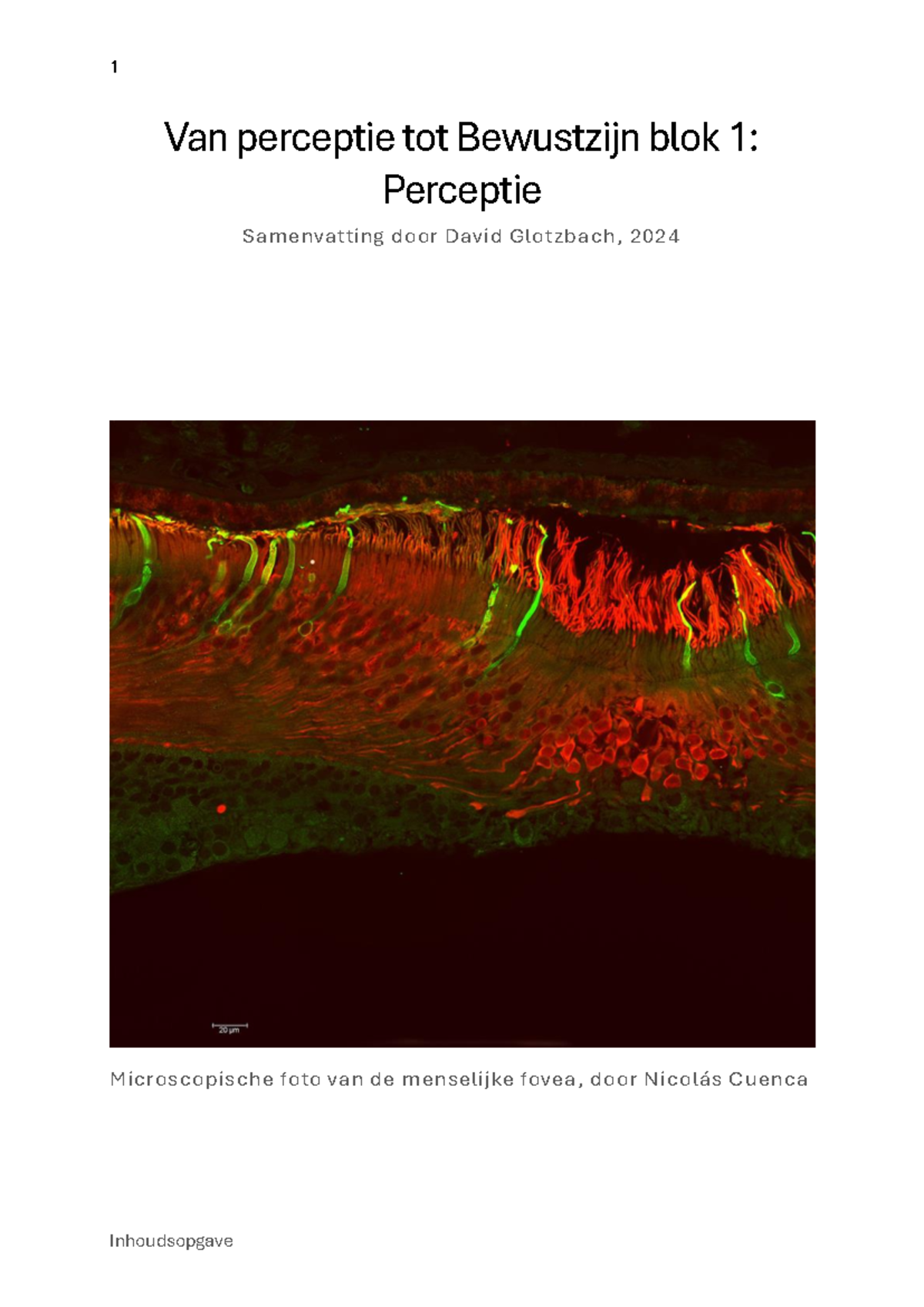 Blok1 Aantekeningen van Perceptie tot Bewustzijn 2024 - Inhoudsopgave ...