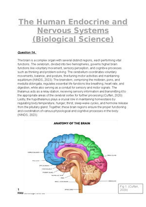 Unit 16 - Illustrated Report - 1 Unit 16 -The Human Endocrine and ...