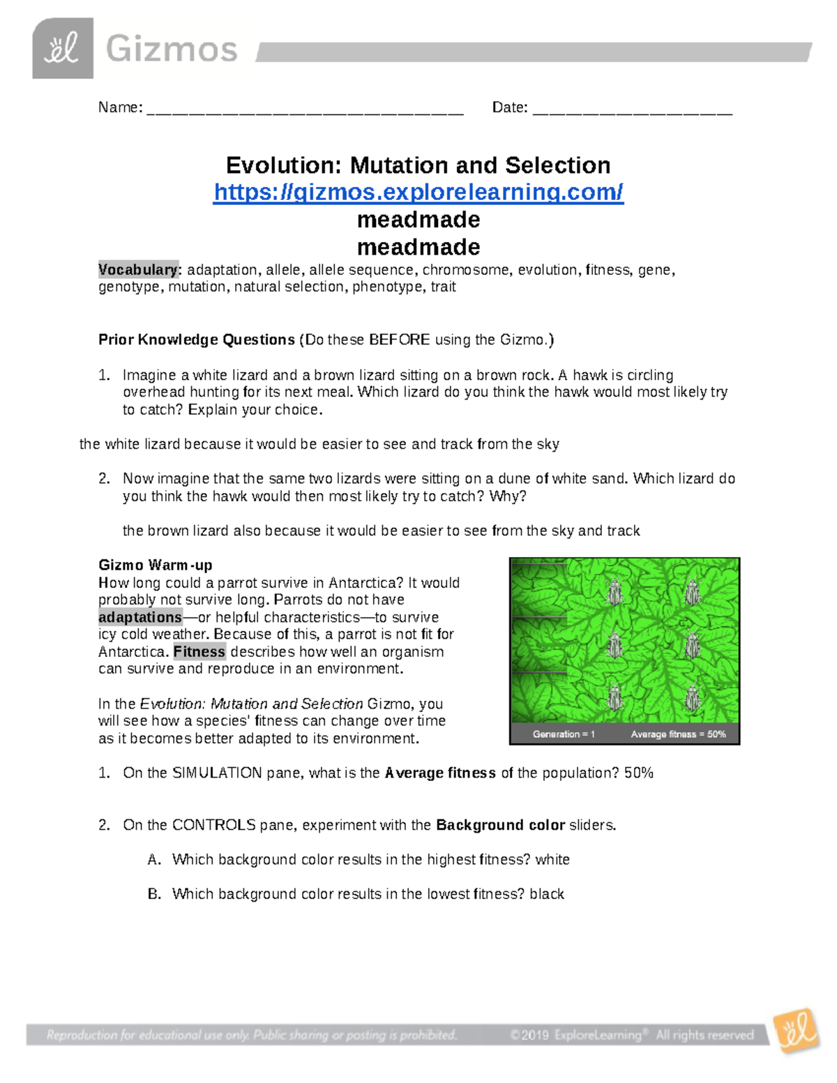 Lucas Olson - Evolution Mutation Selection SE (1) - Google Docs - Name: - Studocu
