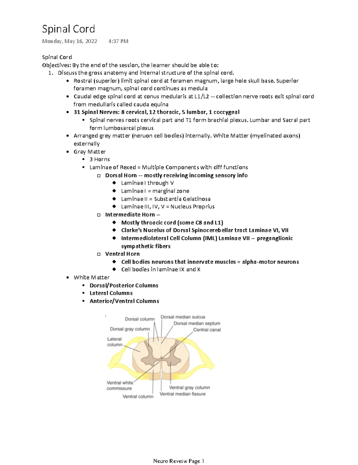 Neuro Review - Spinal Cord Objectives: By the end of the session, the ...