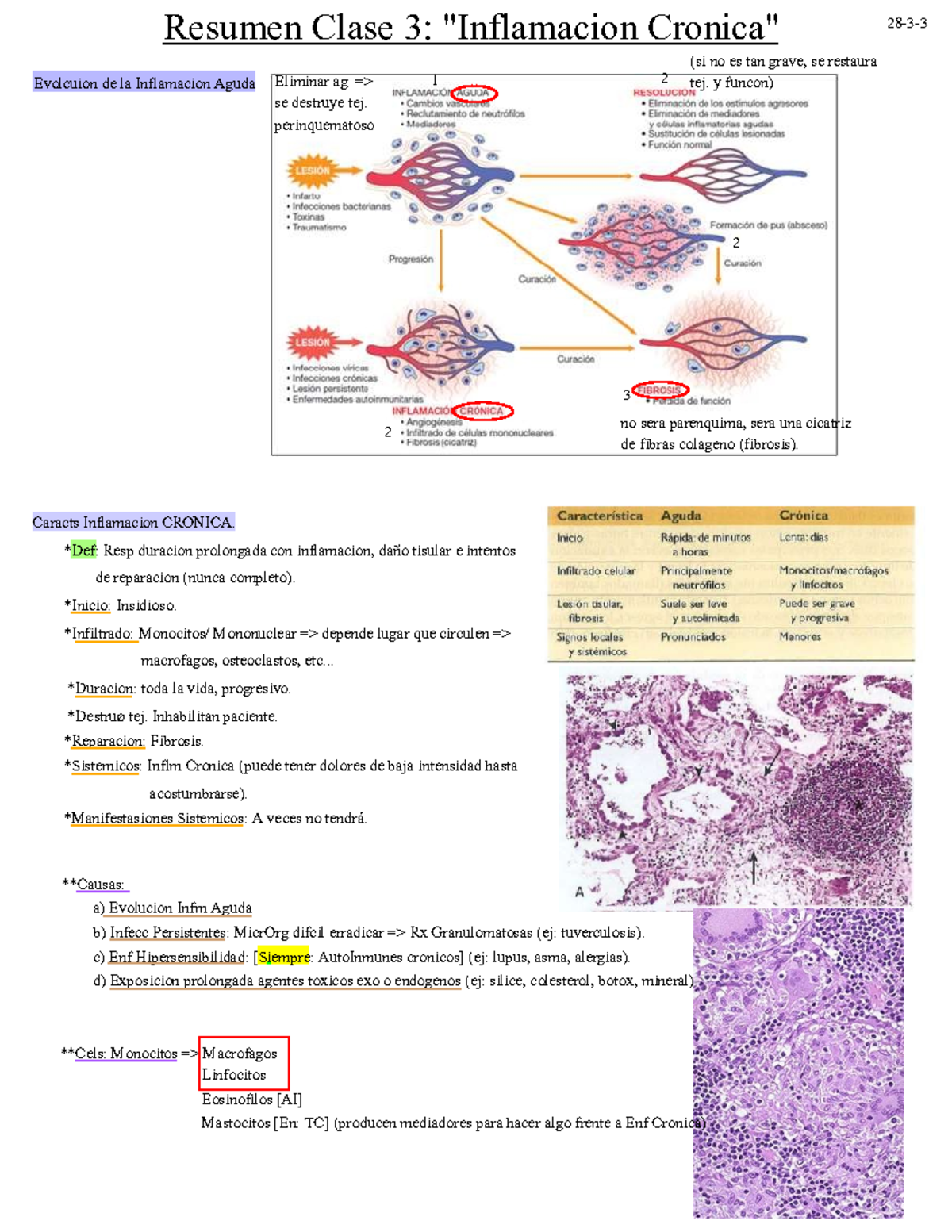 Resumen Clase 3 Inflamacion Cronica - Resumen Clase 3: "Inflamacion ...