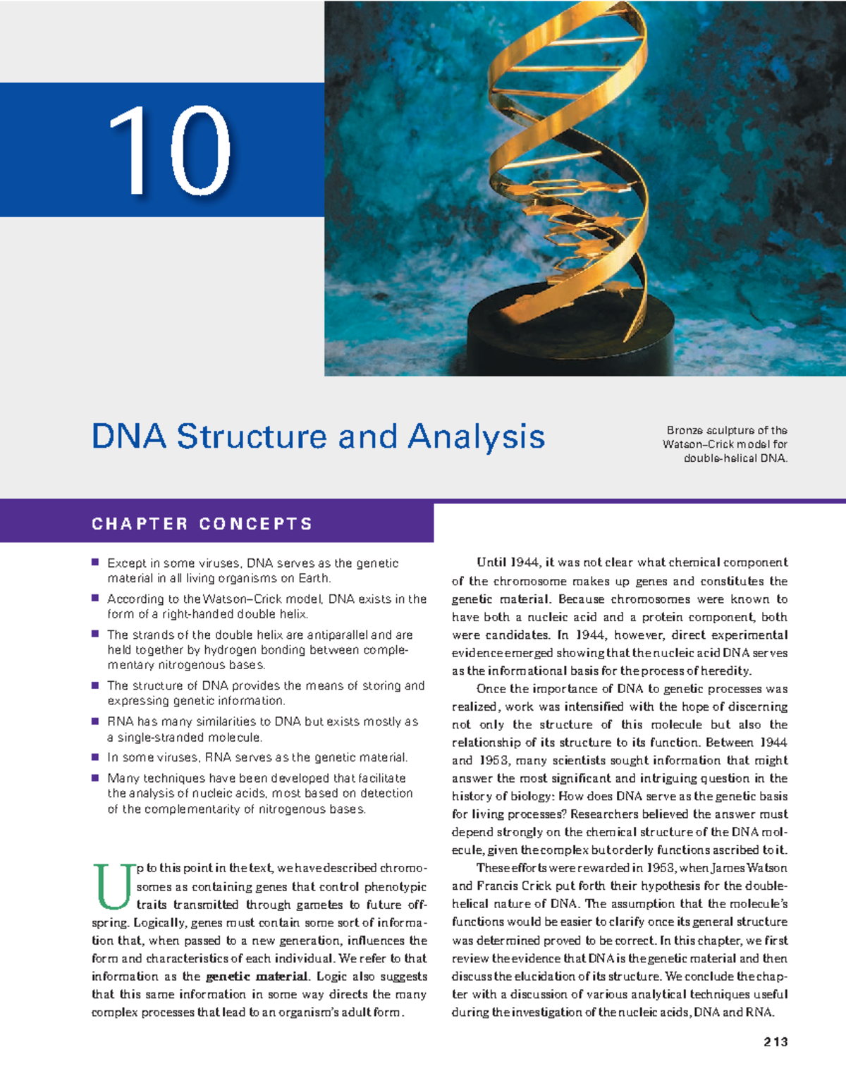 Chapter 10 DNA Structure and Analysis - 213 C H A P T E R C O N C E P T S Except in some - Studocu
