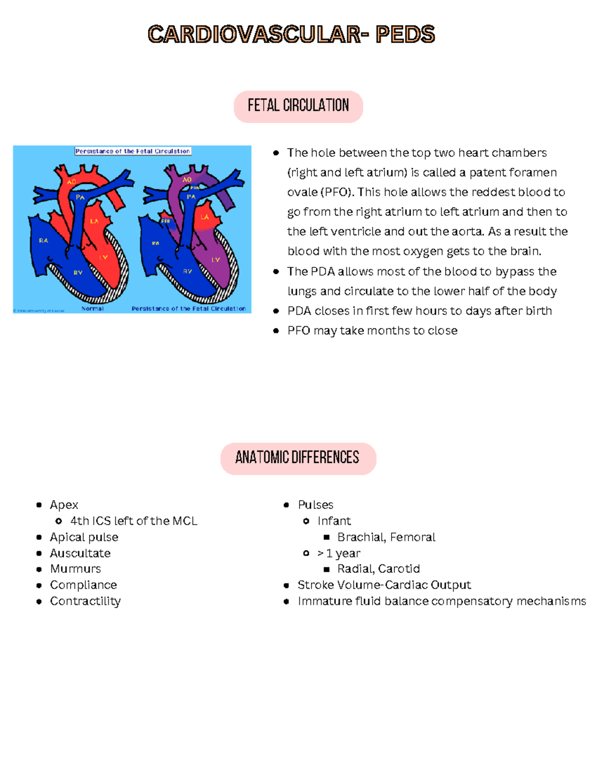 Cardiovascular- PEDS - CCAARRDDIIOOVVAASSCCUULLAARR- PPEEDDSS fetal ...