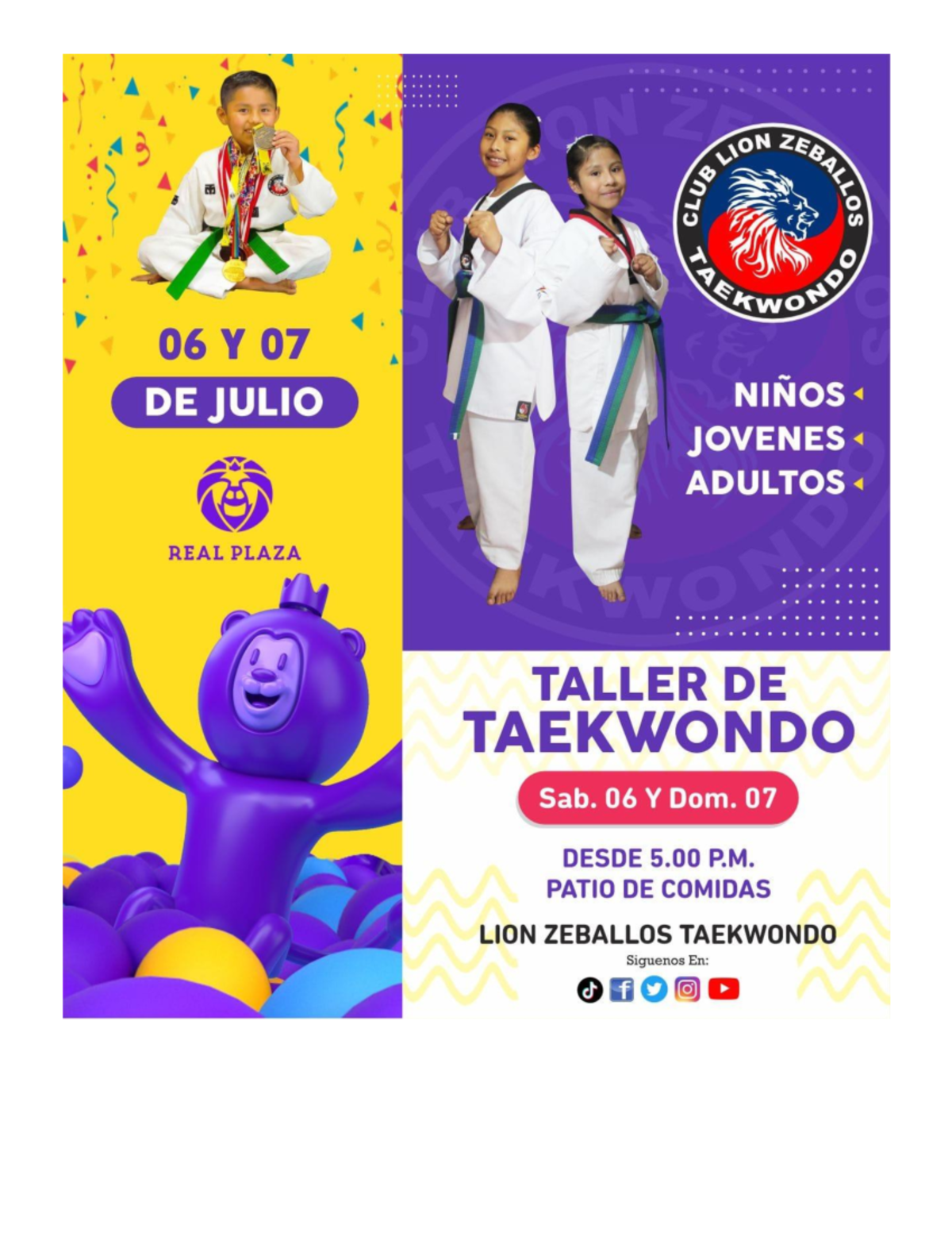 Invitacion Taller DE Taekwondo LION Zeballos - REAL Plaza - Señores ...