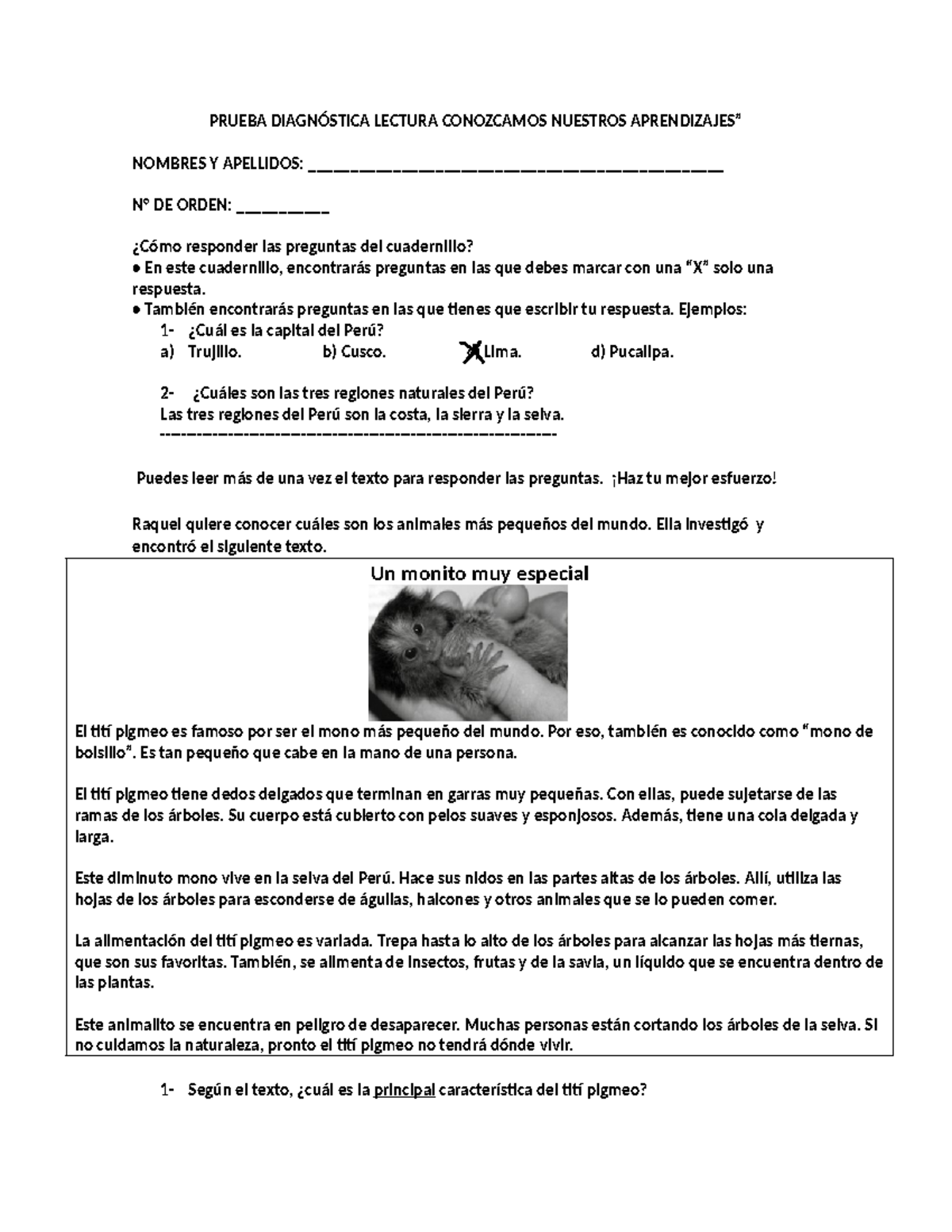 Prueba Diagnóstica Lectura 3° - PRUEBA DIAGNÓSTICA LECTURA CONOZCAMOS ...