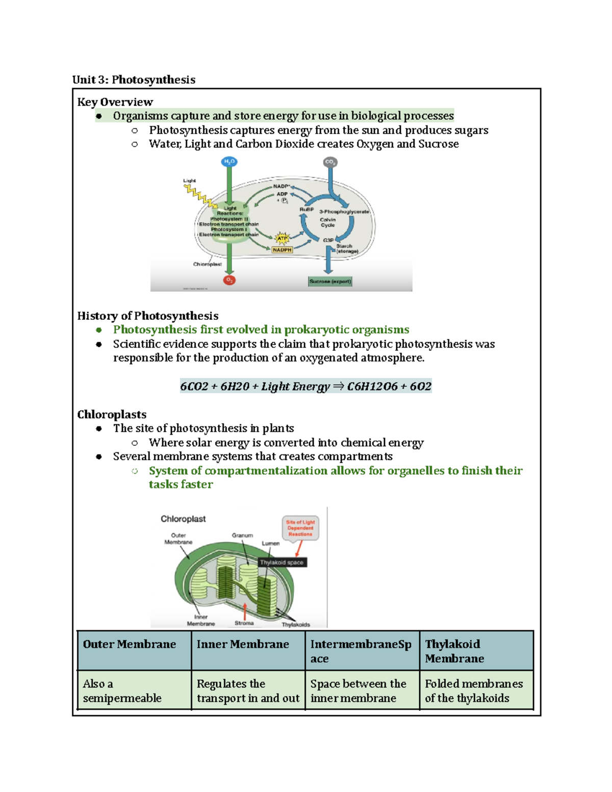 Unit 3 Photosynthesis - Unit 3: Photosynthesis Key Overview Organisms ...