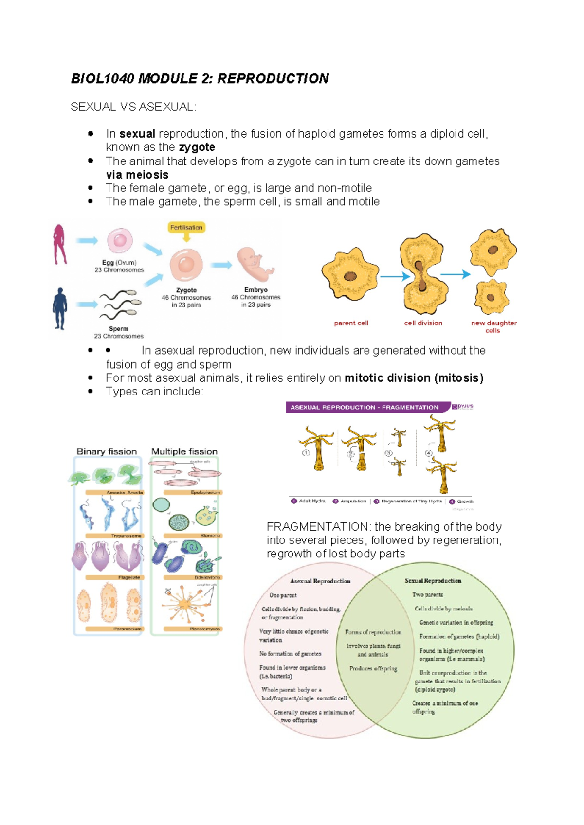 BIOL1040 Module 2 Reproduction - BIOL1040 MODULE 2: REPRODUCTION SEXUAL ...